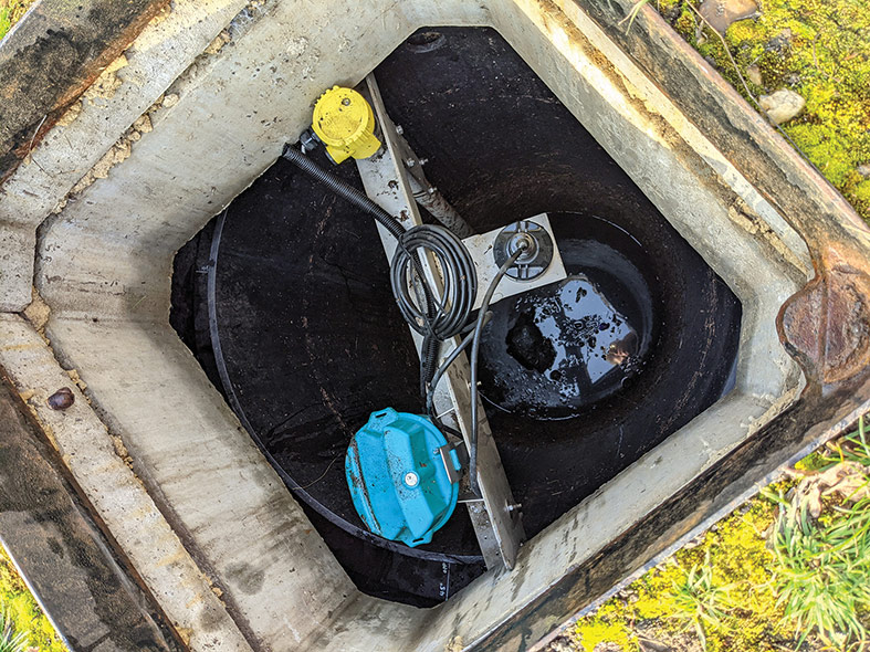 Downstream Defender protects waterways and wildlife in Richmond Park ...