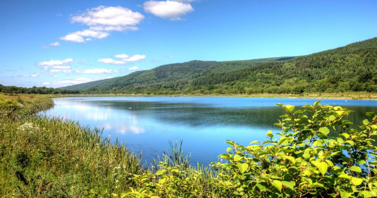 Rapid Hydro-Logic® Aquator modelling supports Dŵr Cymru Welsh Water’s ...