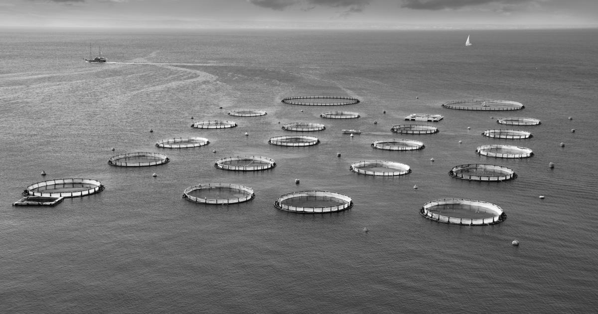 Restons en contact | Hydro International